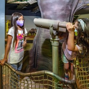 Early Learners: Rainforest Adventure - Discovery Cube