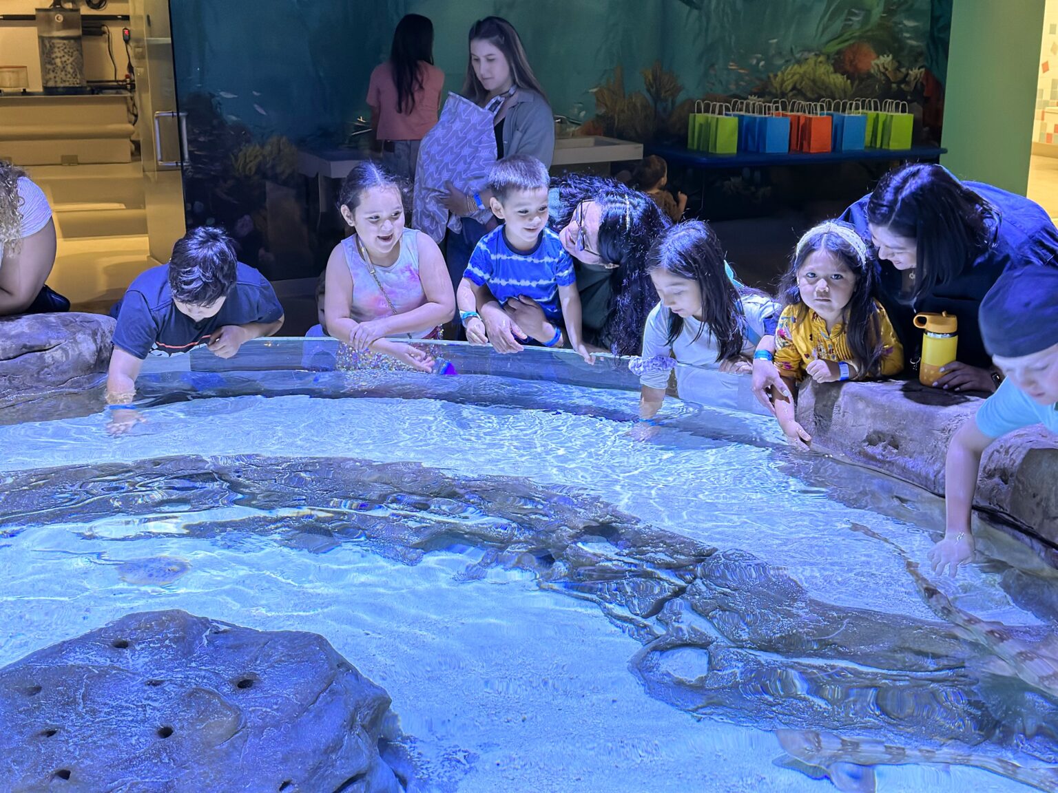 Exhibits - Discovery Cube