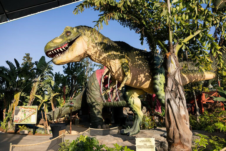 Dino Quest - Discovery Cube