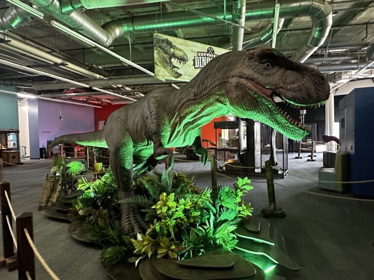 Field Trips - Discovery Cube