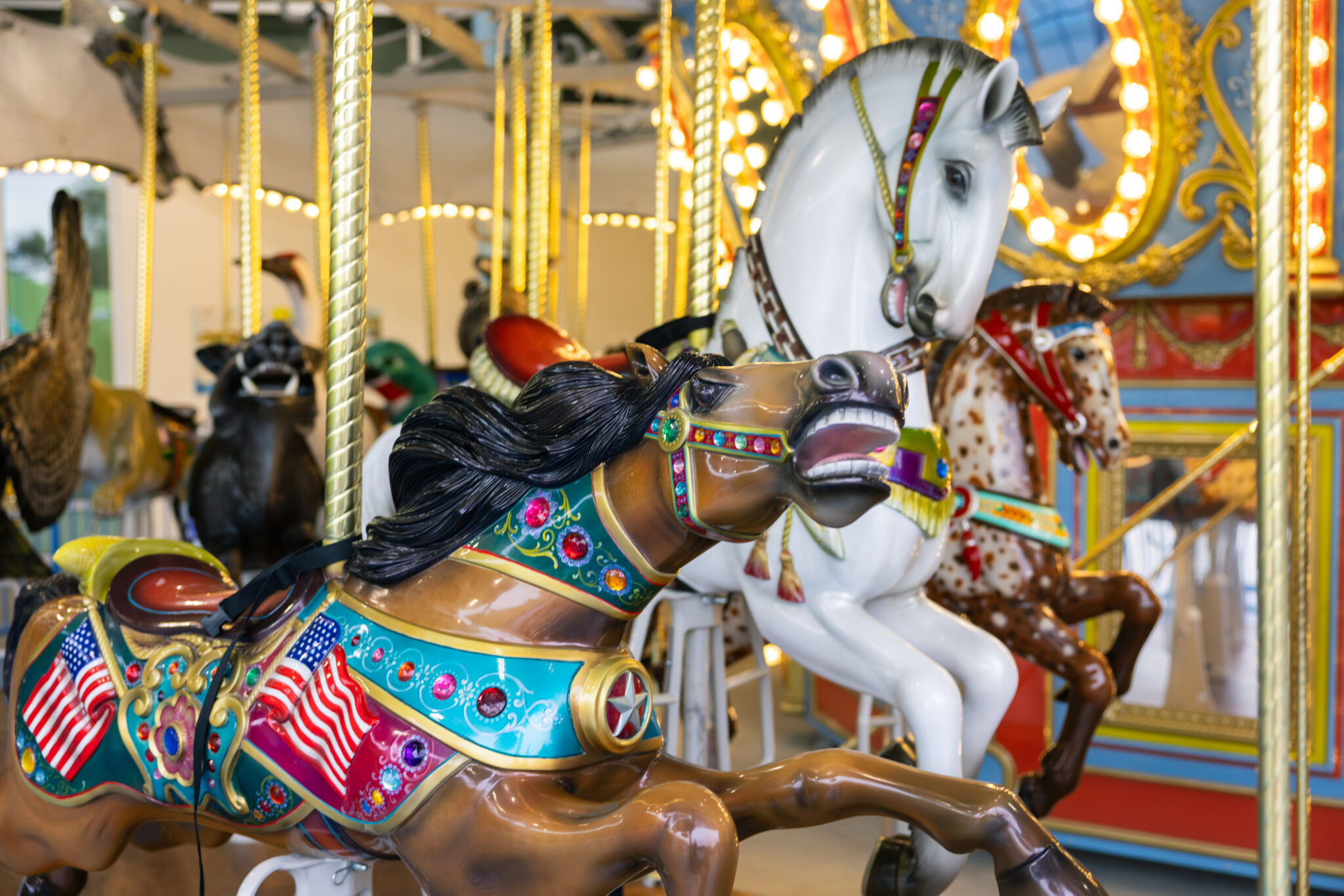 Eco-Adventure Carousel - Discovery Cube