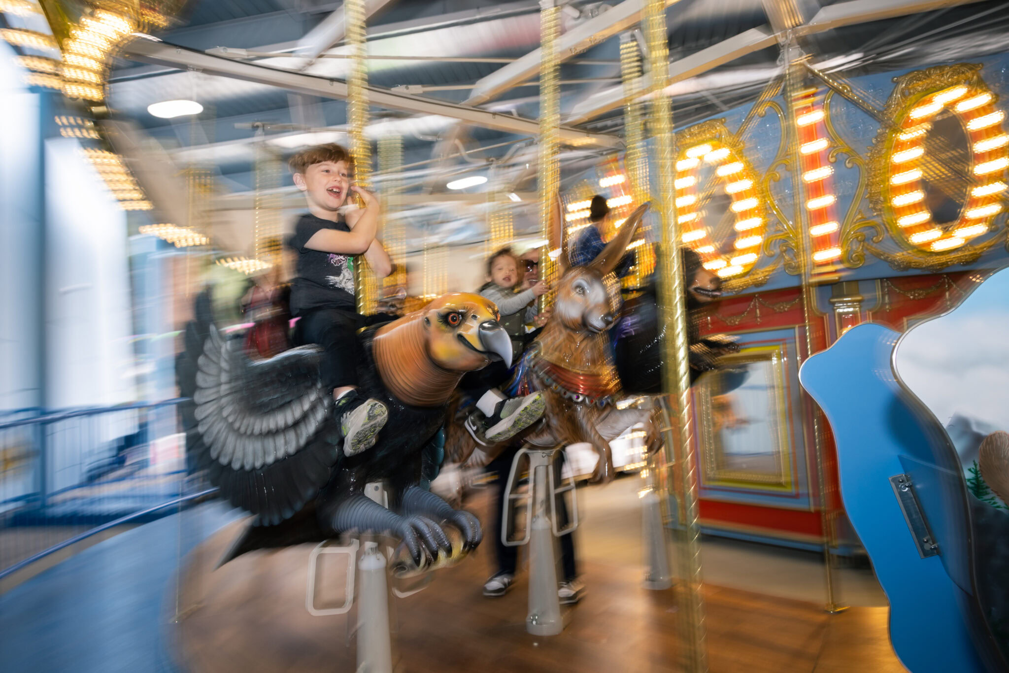 Eco-Adventure Carousel - Discovery Cube