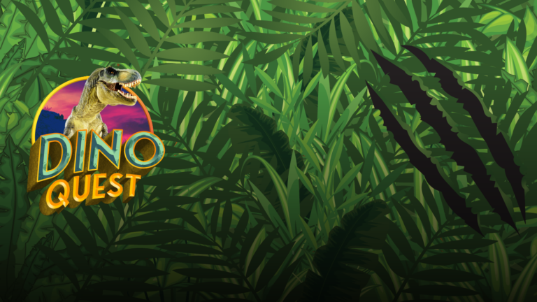 Discovery Cube Home - Discovery Cube