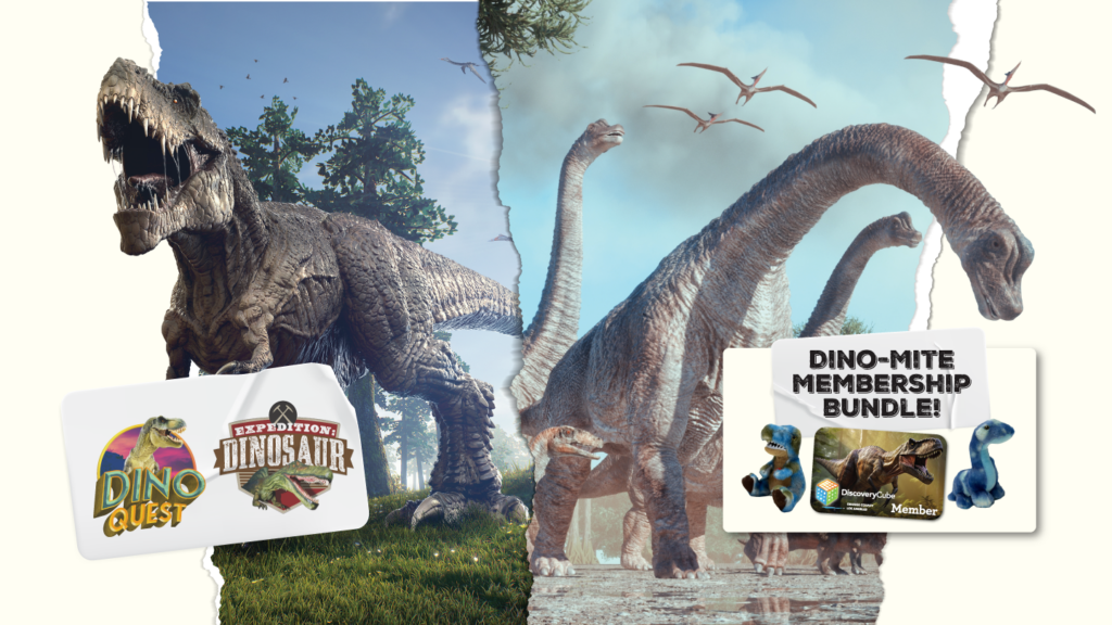 Discovery Cube Home - Discovery Cube