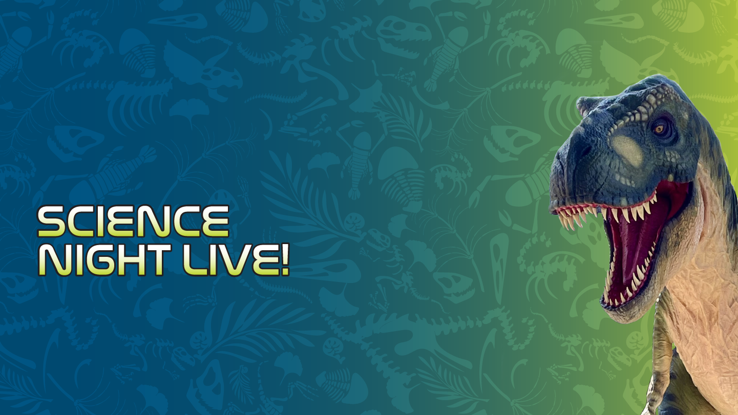 Discovery Cube Home - Discovery Cube