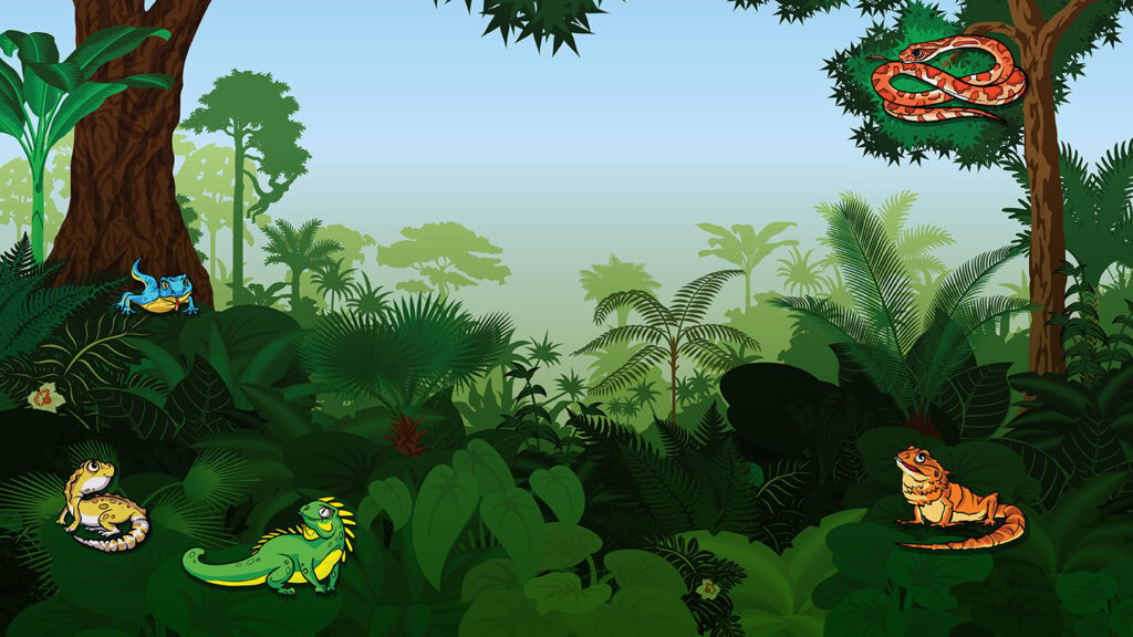 Discovery Cube Home - Discovery Cube