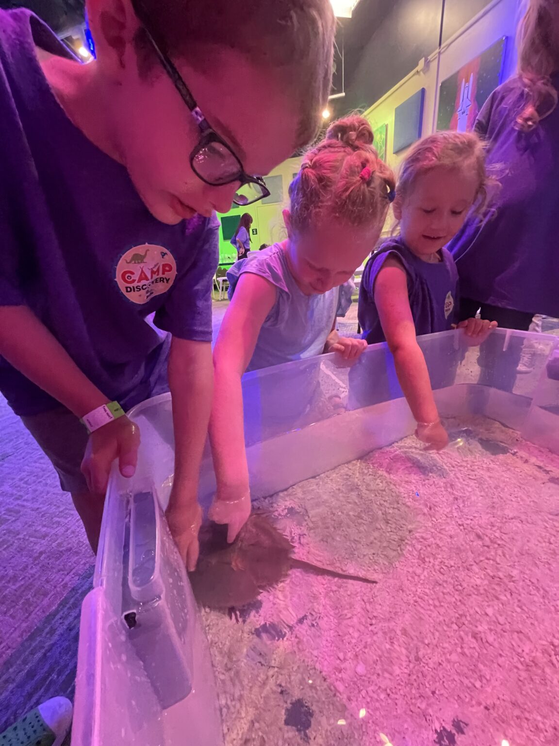 Kids Summer Camp - Discovery Cube
