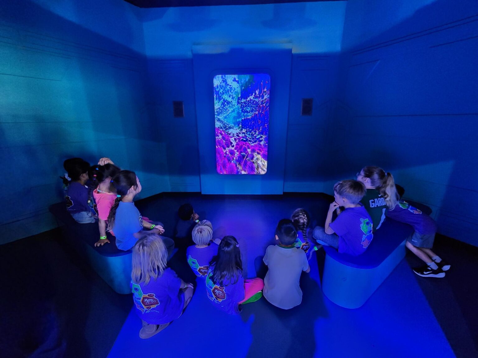 Kids Summer Camp - Discovery Cube